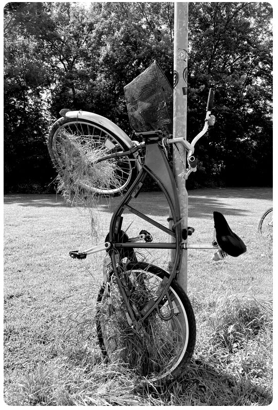 365-tage-challenge-ndash-n-176-175 - Wortperlen - DesignBlog 365-tage-challenge-ndash-n-176-175 - Wortperlen - DesignBlog