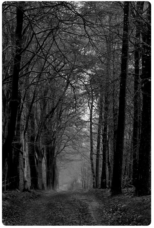 365-tage-challenge-ndash-n-176-224 - Wortperlen - DesignBlog 365-tage-challenge-ndash-n-176-224 - Wortperlen - DesignBlog