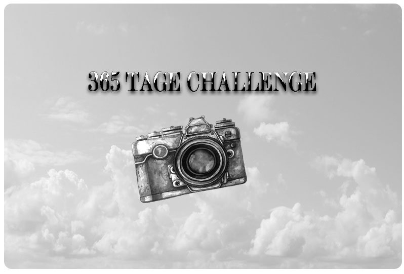 365-tage-challenge-ndash-n-176-11 - Wortperlen - DesignBlog 365-tage-challenge-ndash-n-176-11 - Wortperlen - DesignBlog